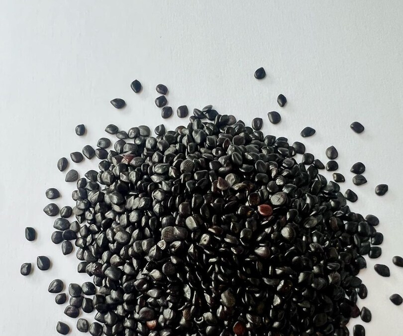 Nutritionist Lists Health Benefits Of Adding Chaksu Seeds To Your Diet ...