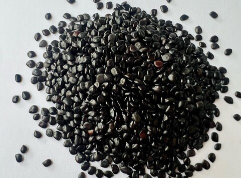 Nutritionist Lists Health Benefits Of Adding Chaksu Seeds To Your Diet ...