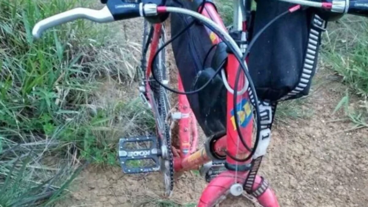 Optical Illusion: This Viral Image With ‘Invisible’ Bicycle Wheel Will ...