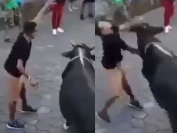 WATCH: Man Mauled by Bull on Road, Chilling Video Caught on Tape - News18