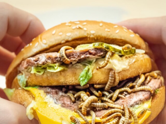 Beetles to Crickets: Care for Some Meat-flavoured Insects? - News18