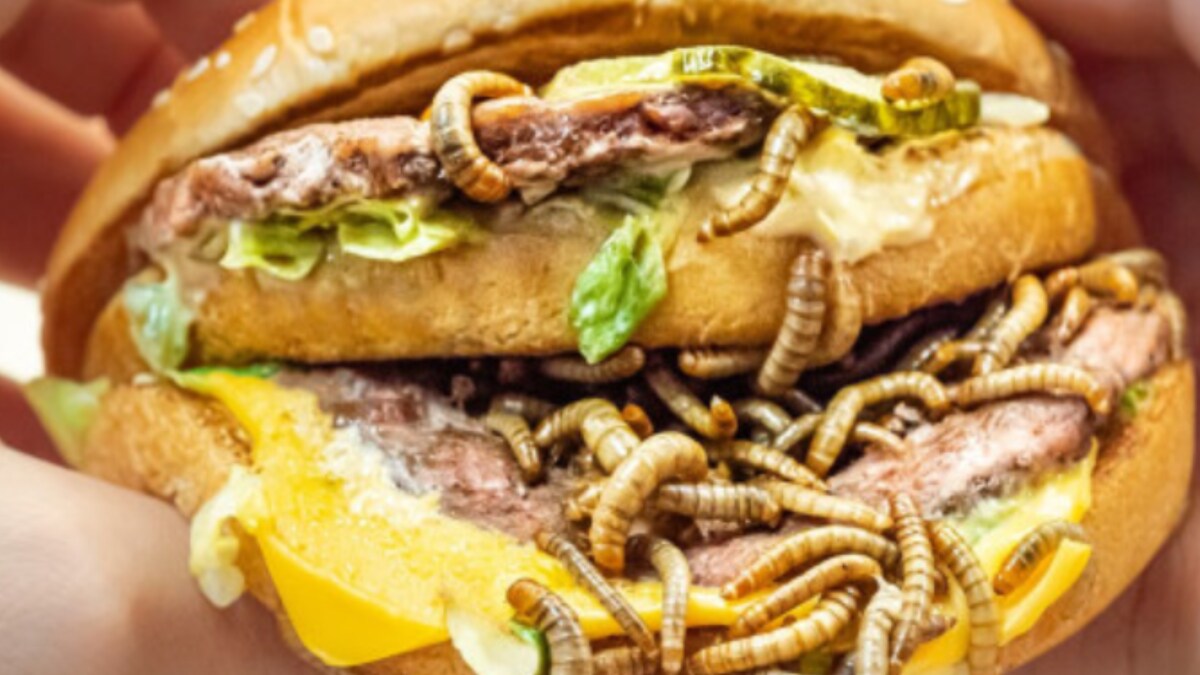 Beetles to Crickets: Care for Some Meat-flavoured Insects? - News18