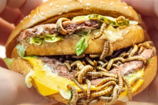 Beetles to Crickets: Care for Some Meat-flavoured Insects? - News18