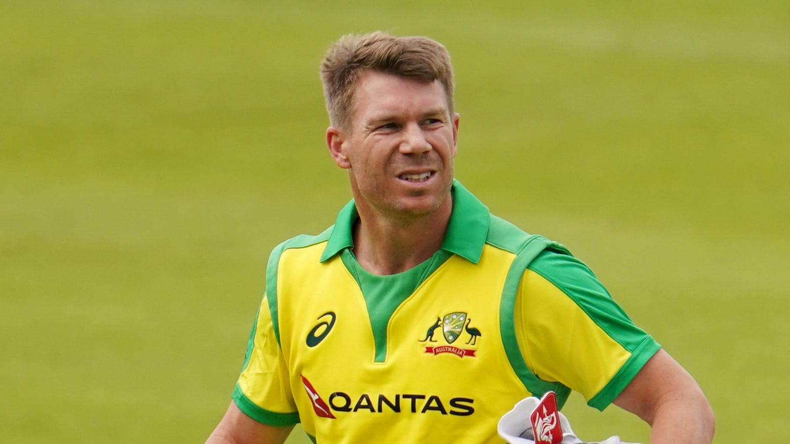 Aus vs WI, T20I: David Warner, Mitchell Starc Help Australia Clean ... Aus vs WI, T20I: David Warner, Mitchell Starc Help Australia Clean ...