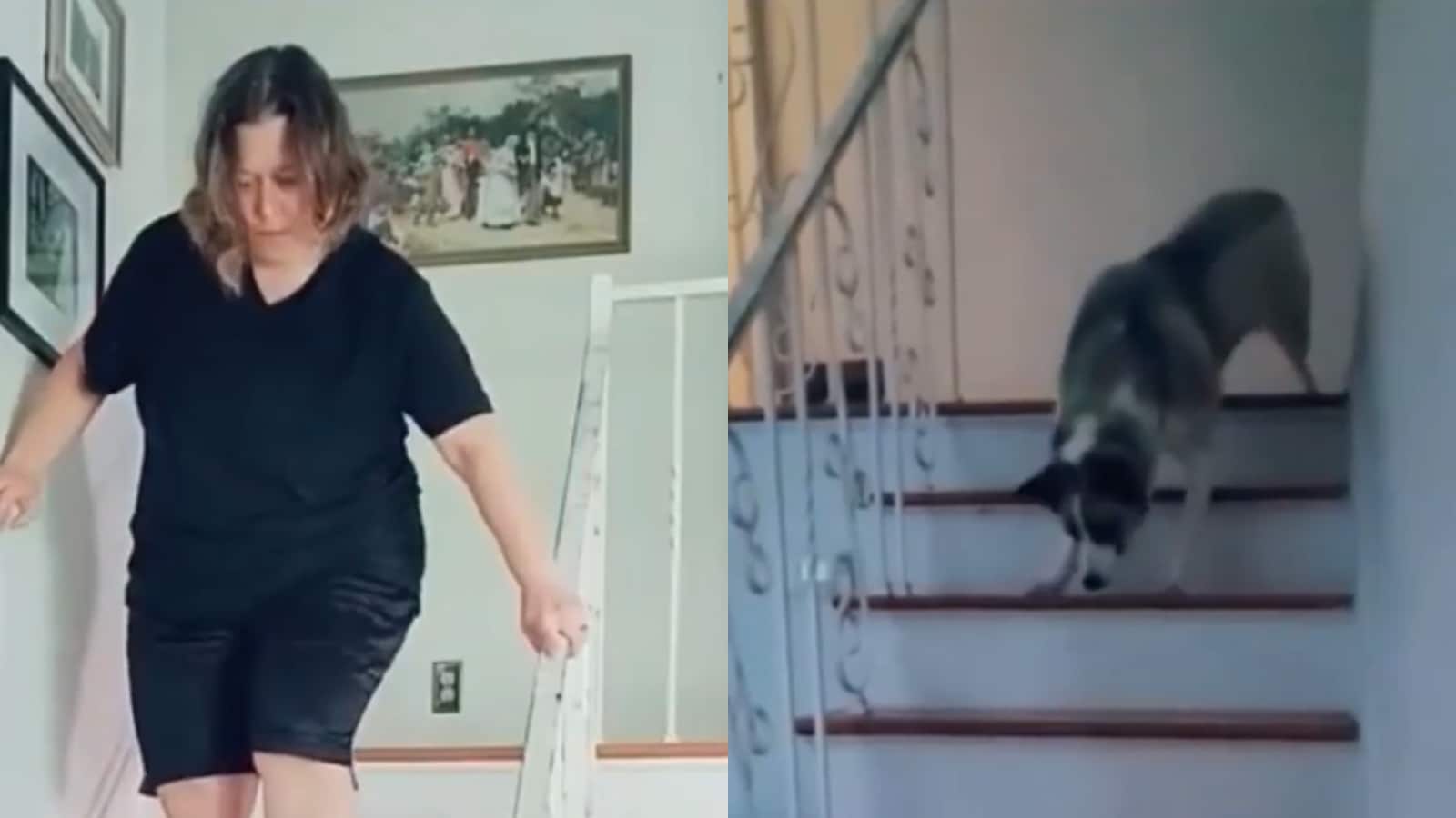WATCH: Dog Imitates His Injured Owner Walking Down Stairs Out of ...