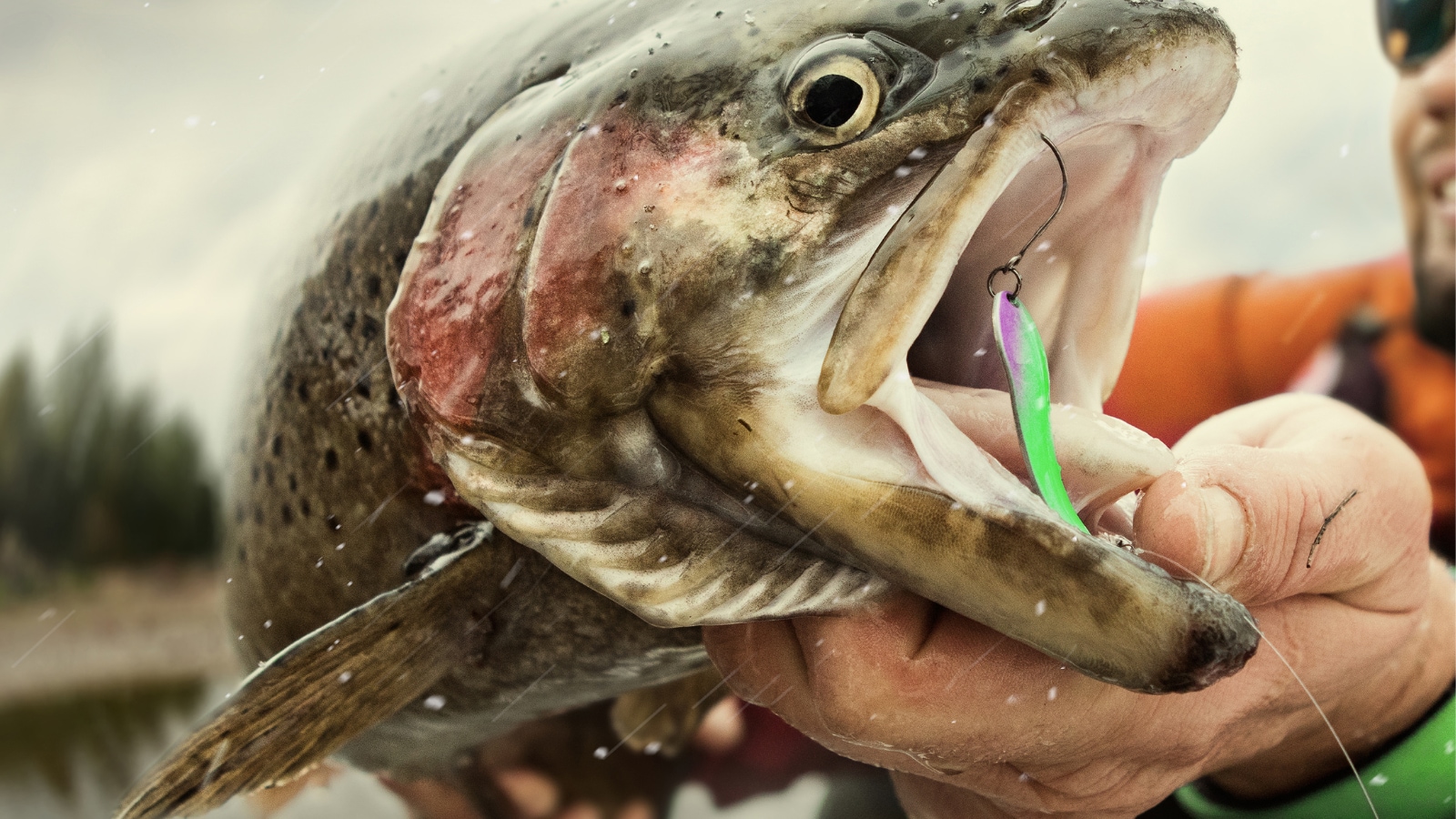 Fisherman Gets Ruler Tattoo Inked on His Leg to Measure The Fish He ...