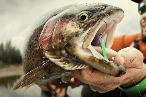 Fisherman Gets Ruler Tattoo Inked on His Leg to Measure The Fish He ...