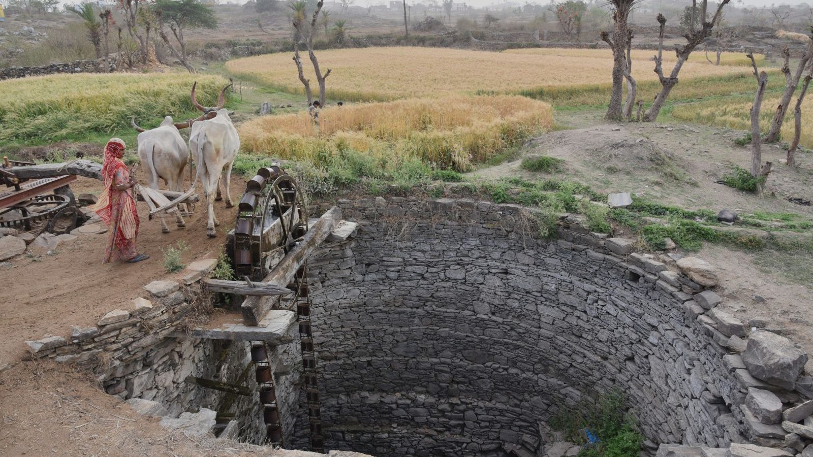 Science Wise As Govt Races To Meet 2024 Target For Har Ghar Jal