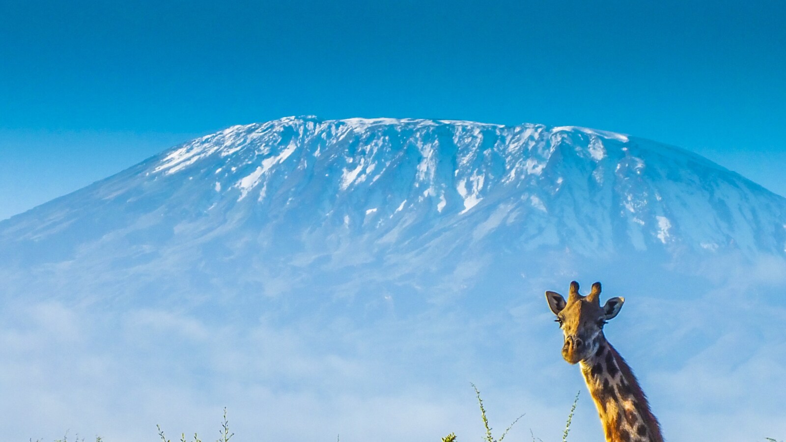 Tanzania Installs Internet on Mount Kilimanjaro for Insta-ascents ...