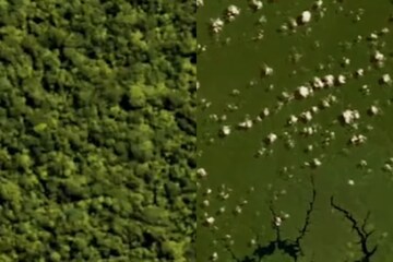 Deforestation Before And After Space