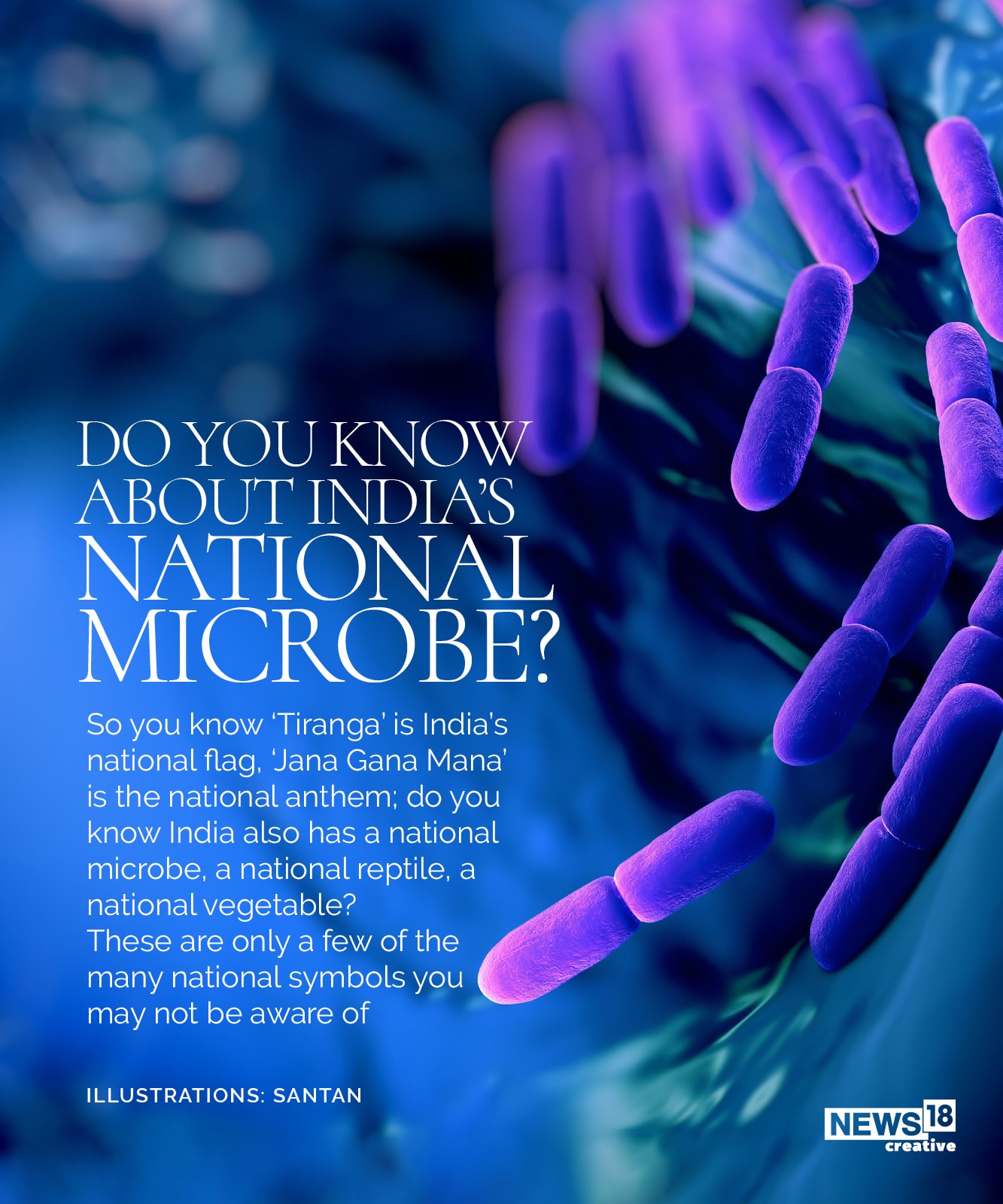 From Microbe to Vegetable: All You Need to Know About India's National ...