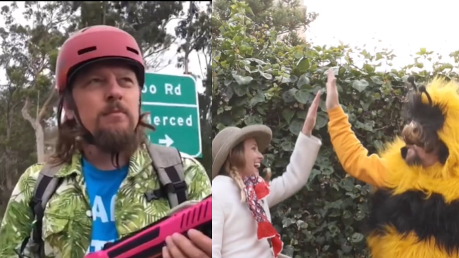 WATCH: This Couple on a Special Mission is 'Flower-bombing' San ...