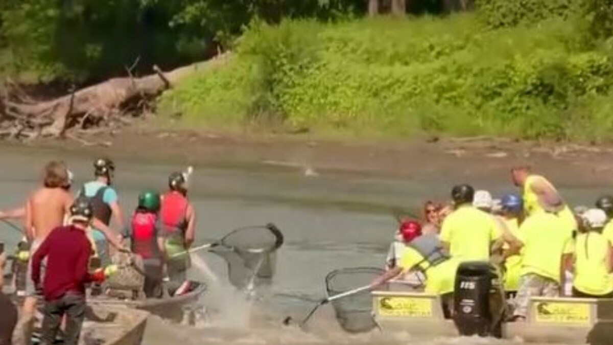 WATCH: Redneck Tournament Takes Off as Fish Jump Like 'Popcorn' From ...