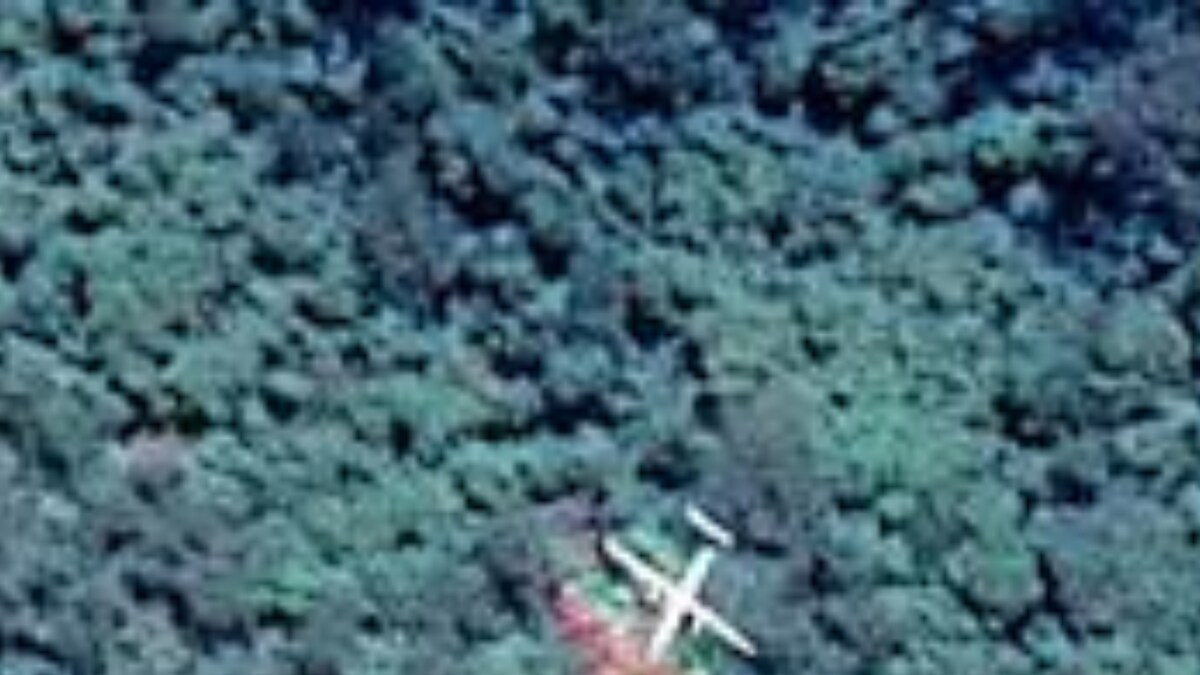 'Ghost Image' of Passenger Aircraft Spotted in Australian Rainforest is ...