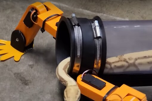 YouTuber Gives Snake Robotic Legs and the Result is Truly Horrifying ...