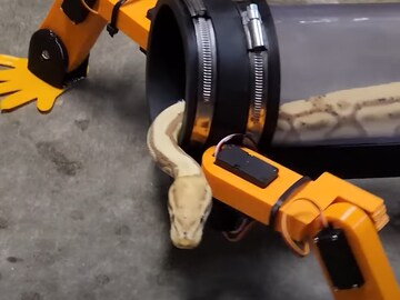 YouTuber Gives Snake Robotic Legs and the Result is Truly Horrifying ...