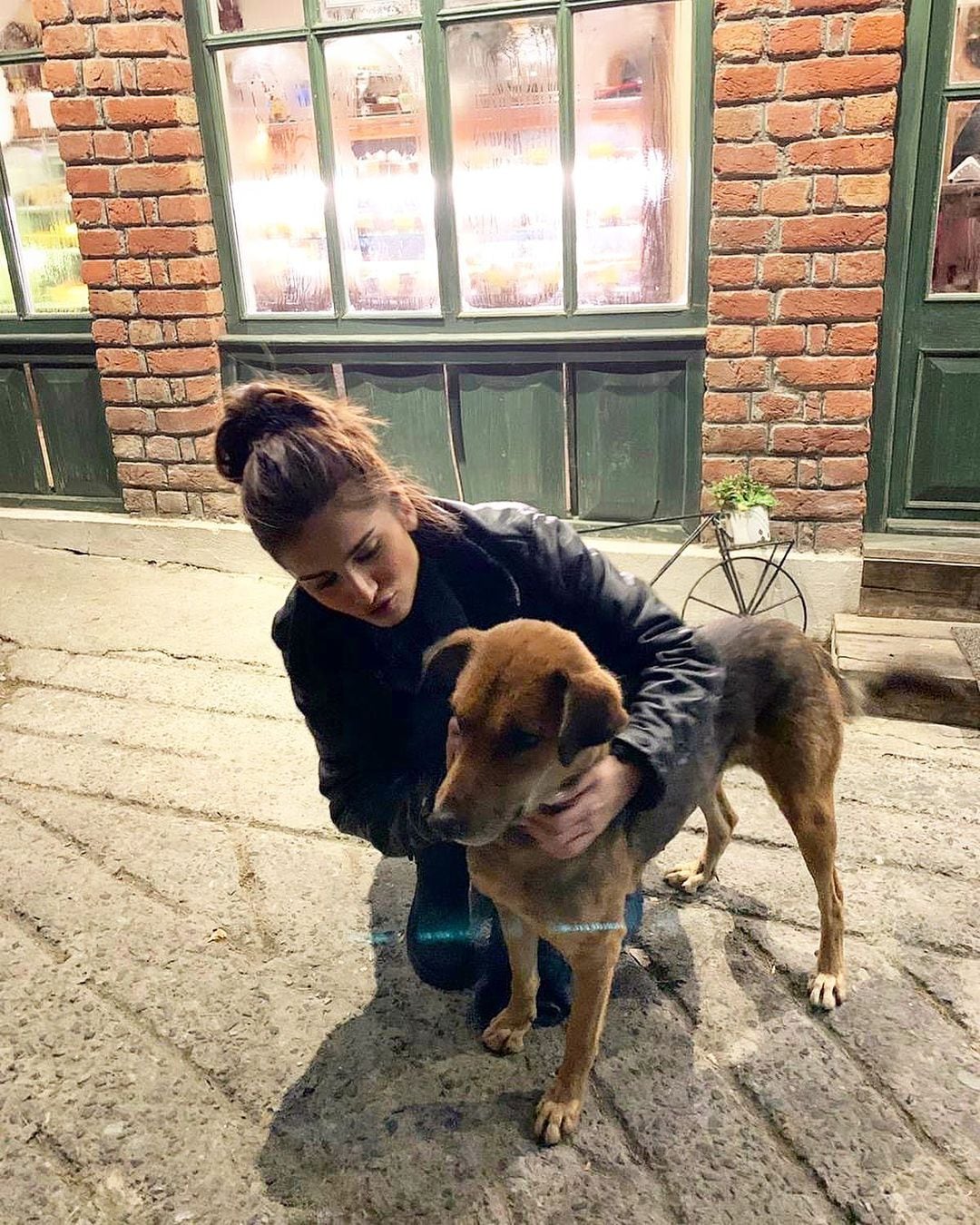 Tara Sutaria Shares Heartwarming Photos Snuggling Her Pet Dog, Check ...