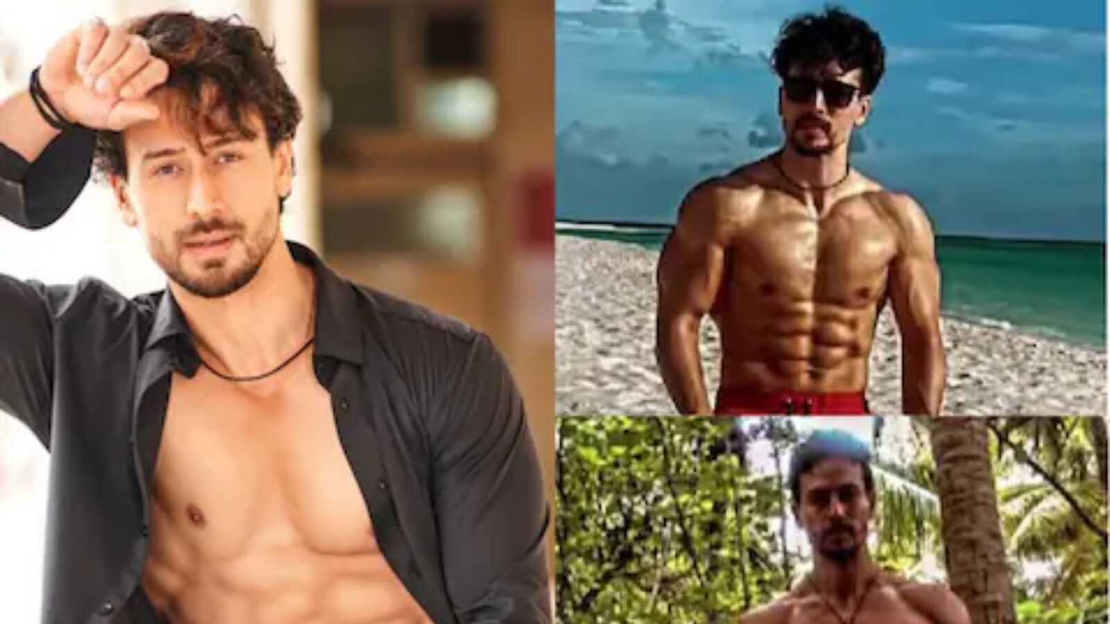 Tiger Shroff Flaunts His Favorite Pair of Shorts in Latest Post, Dino ...