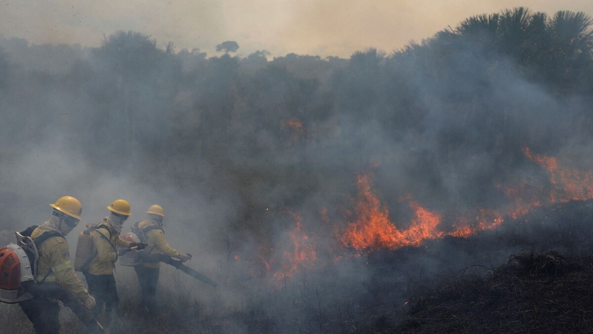 Brazil: Surpassing Eye-catching 2019 Blazes, Amazon Sees Worst August ...
