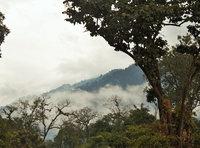 Explore The Lesser Known Gem Of Arunachal Pradesh, The Namdapha ...