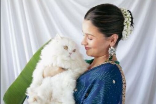 Alia Bhatt Drops Adorable Pic With Her Furry Friend Edward Amid ...