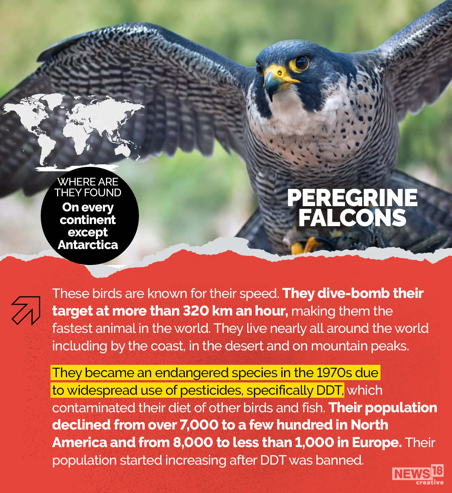 Back From the Dead: Eight Animals That Came Back from the Brink of ...