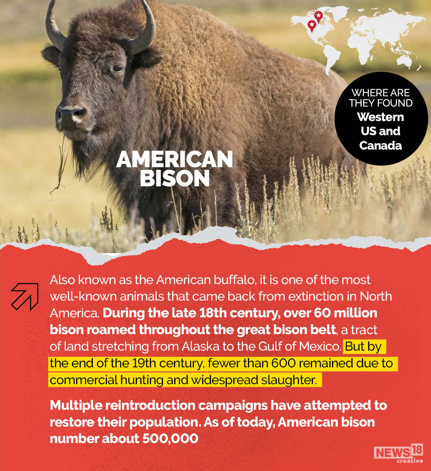 Back From the Dead: Eight Animals That Came Back from the Brink of ...