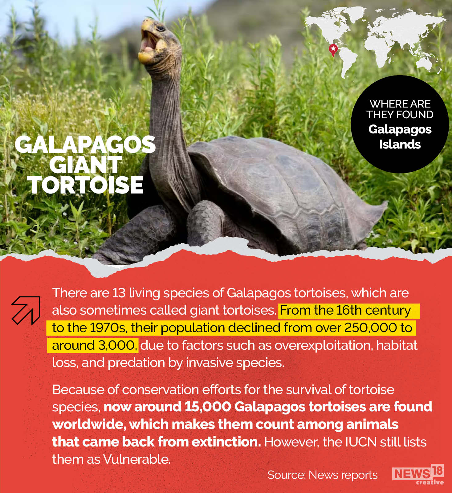 Back From the Dead: Eight Animals That Came Back from the Brink of ...