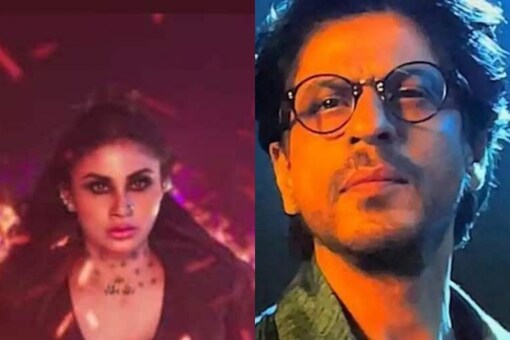 Mouni Roy Calls Working with Shah Rukh Khan in Brahmastra 'Out-Of-Body ...