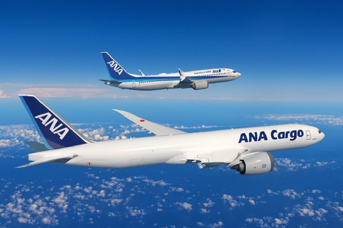 Boeing 737 in Pics: See Design, Features, and More in Detail - News18