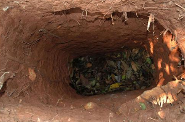 Tribe Killed, Amazon Man Who Lived Alone for 20 Yrs Dies. His Life ...