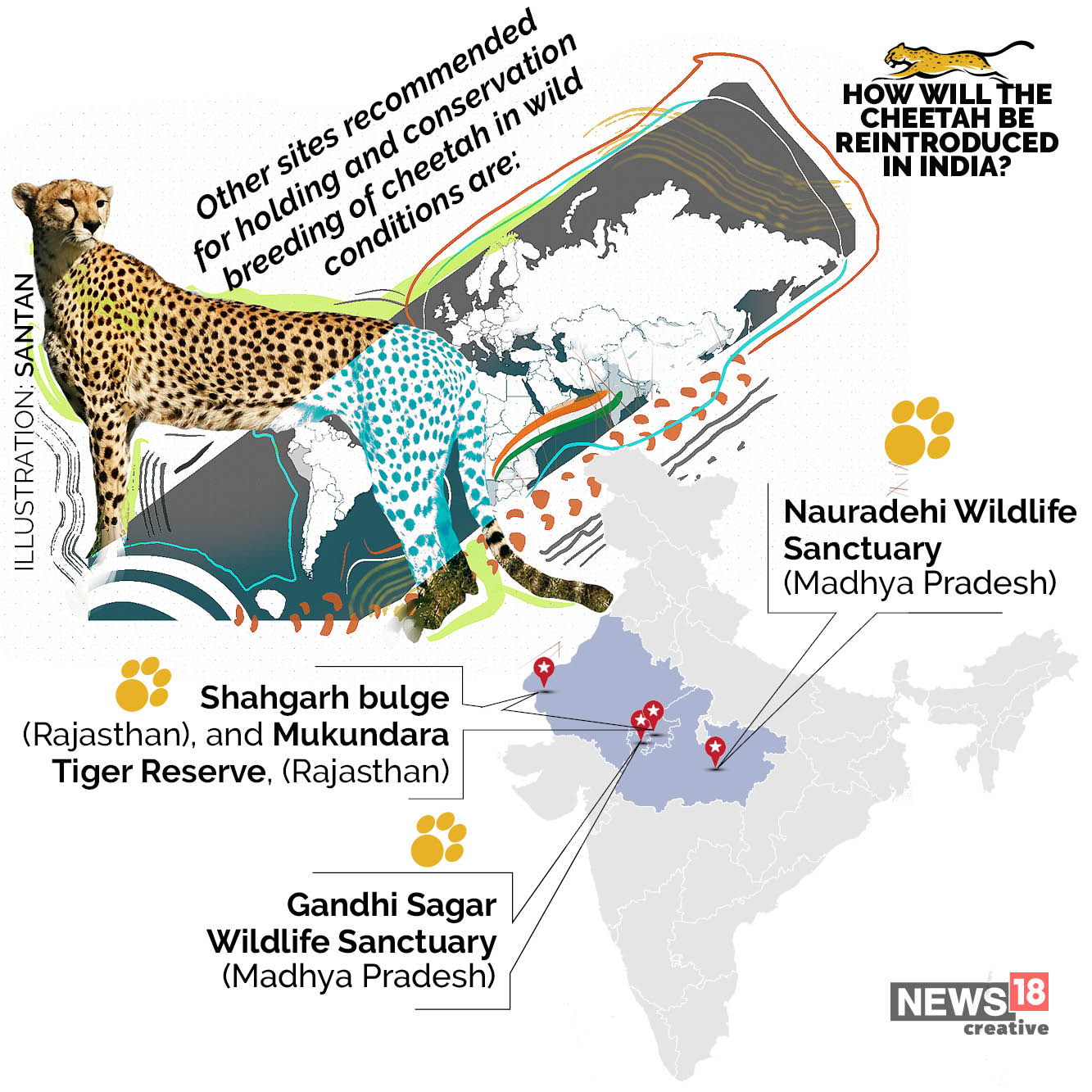 Cheetahs Back in India: The Story of Cheetahs’ Extinction, Peek into ...