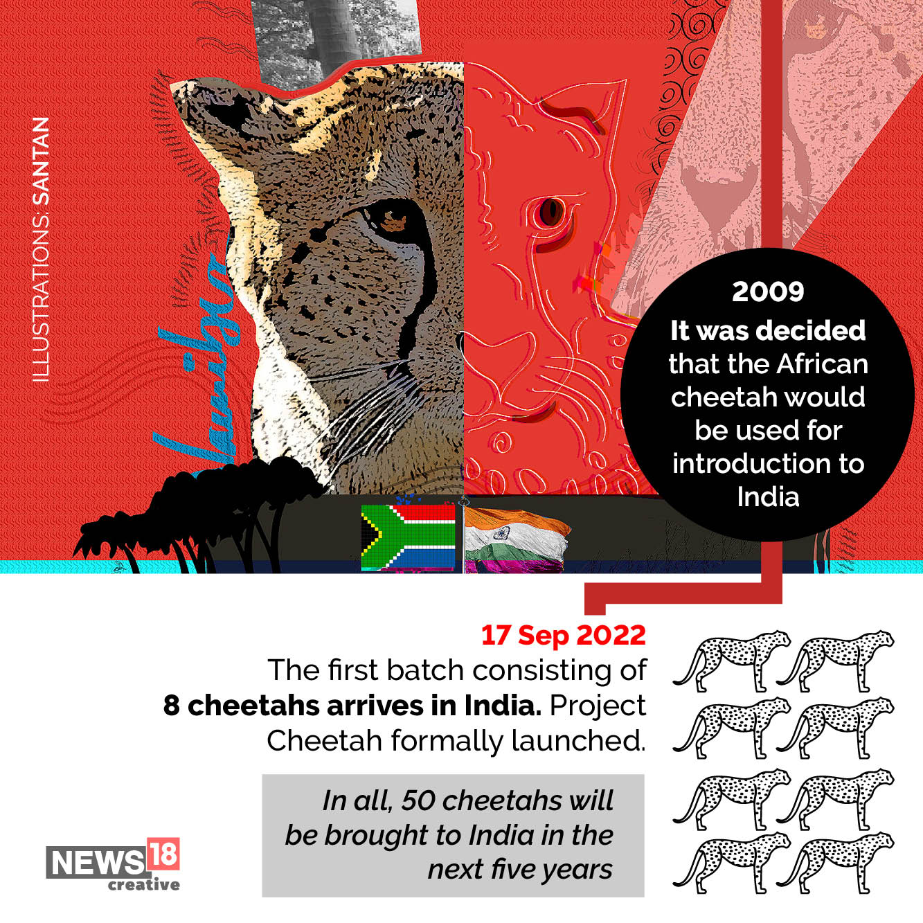 Cheetahs Back in India: The Story of Cheetahs’ Extinction, Peek into ...