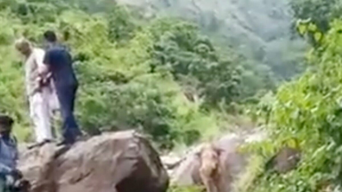 WATCH: Former Uttarakhand CM Trivendra Rawat Climbs Rock to Save ...