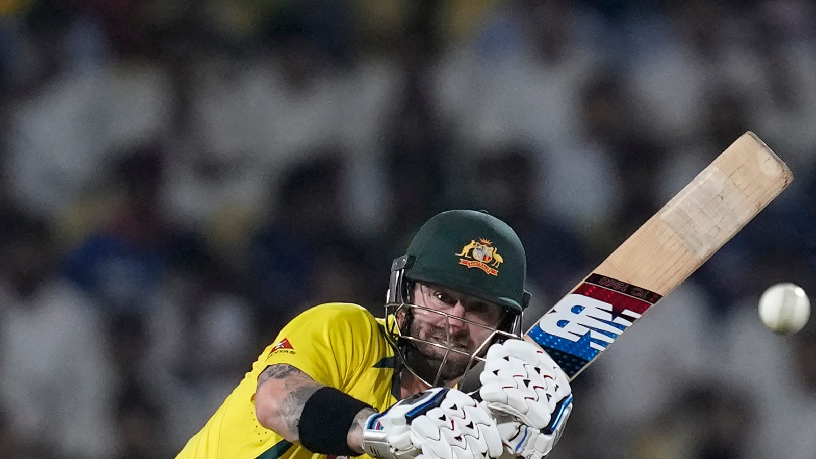 Matthew Wade Could be Looked at as New T20 Captain by Cricket Australia ...