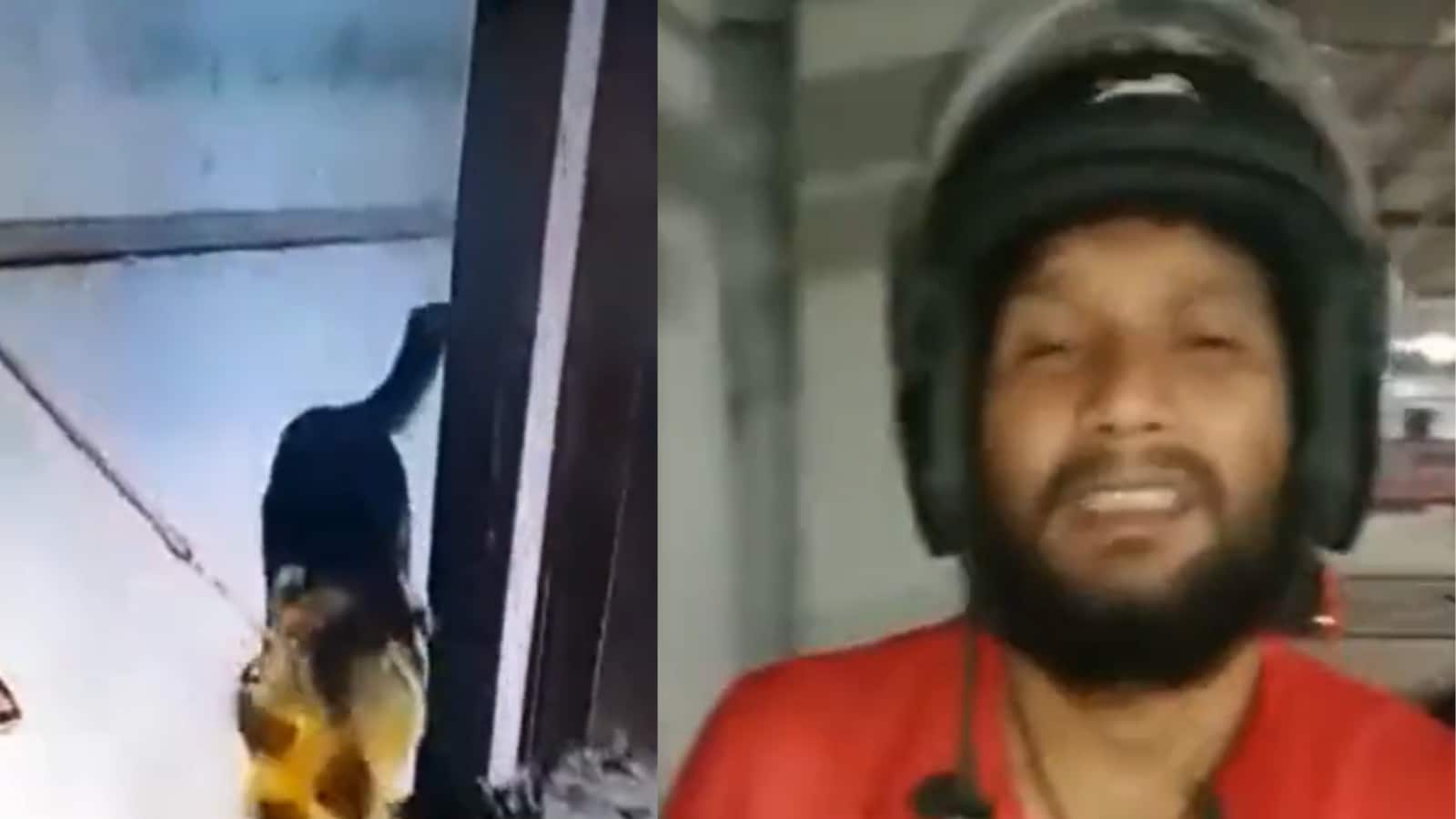 Pet Dog Attacks And Bites Zomato Delivery Executive on His Private ...