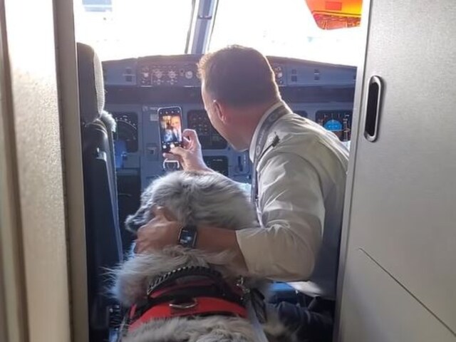 WATCH: Pet Dog Turns Celeb on Flight as Pilot, Crew Can't Stop Taking ...