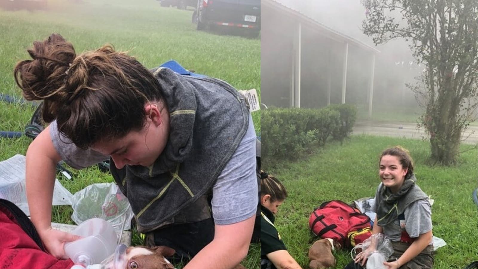 'Driver Of The Year': Amazon Delivery Driver Hailed For Saving 3 ...