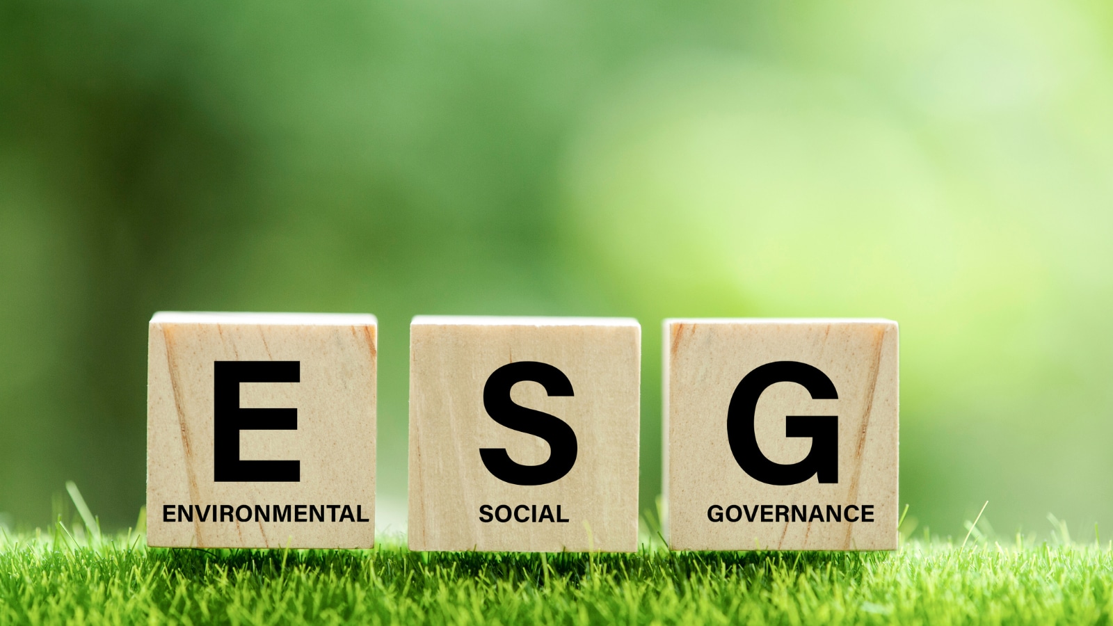 What are ESG Funds and is it the Right Time for You to Invest ...