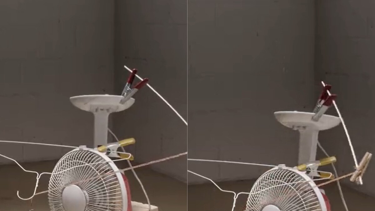 WATCH: This Complicated Bubble-Making Machine Will Make You Wonder 'WHY' - News18