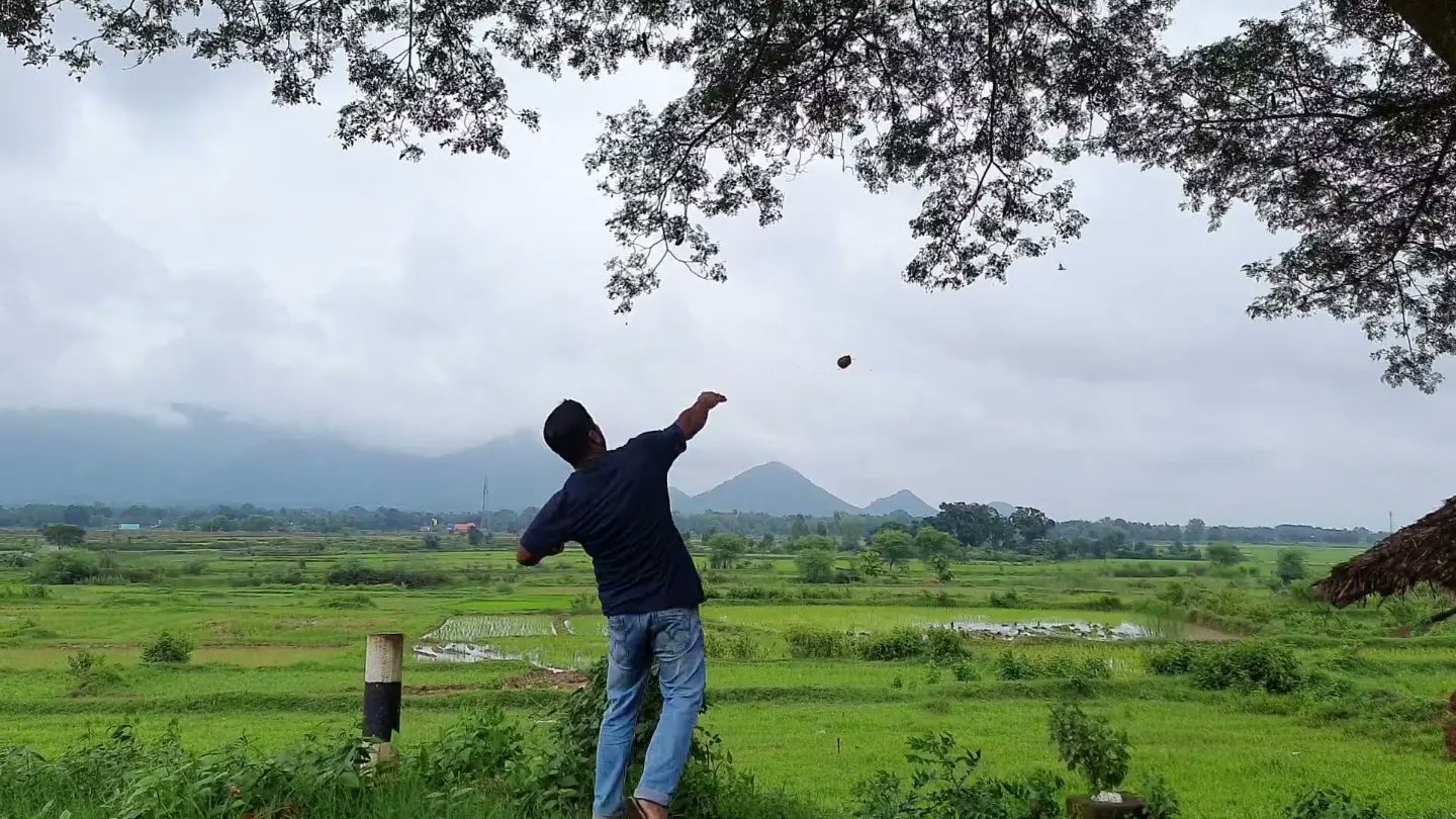 Seed Balls And Drone: Environmentalist Finds Unique Way To Restore ...