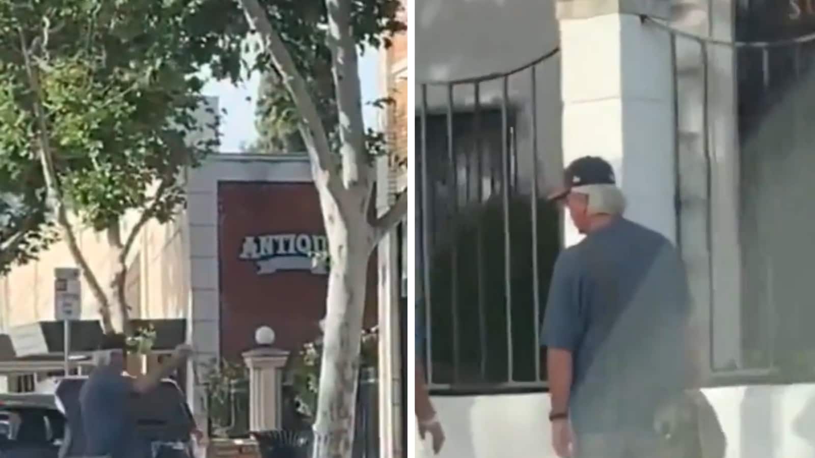 WATCH: Man Takes Pet Goose On a Walk, Leaves Internet Amused | Buzz ...