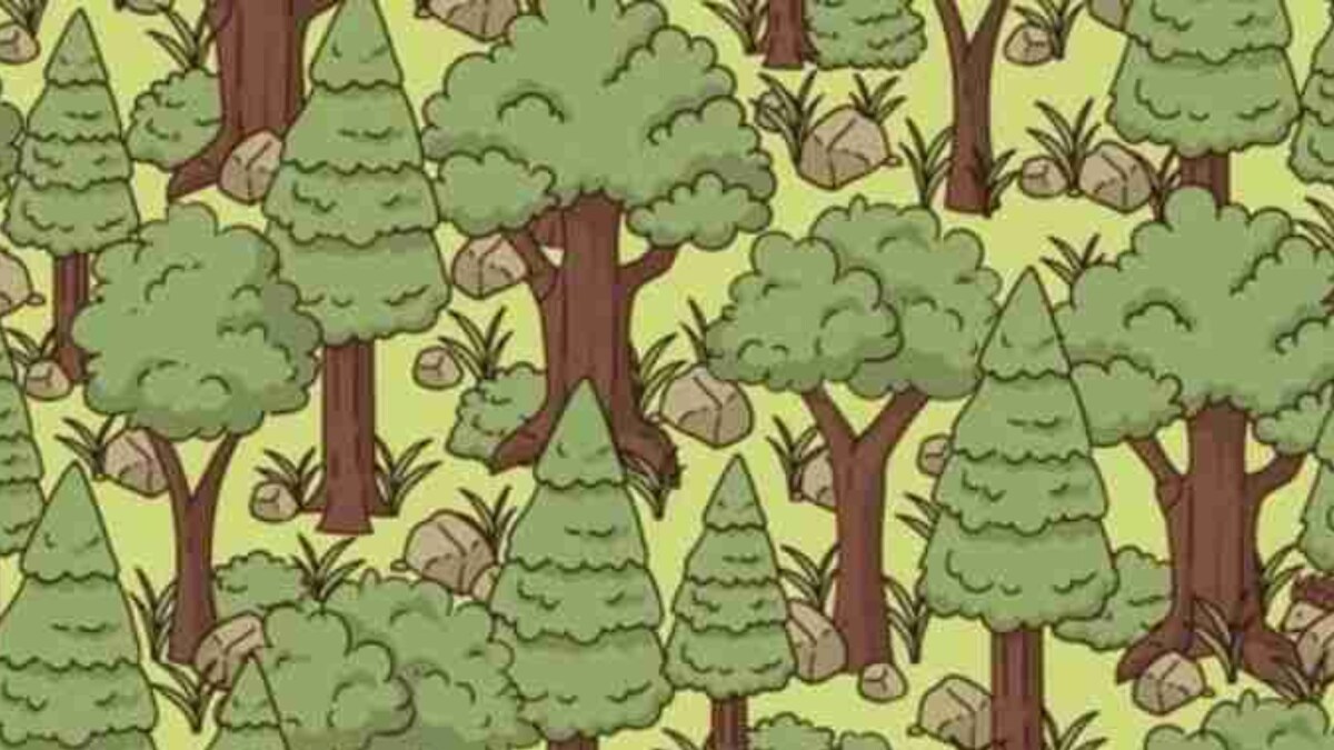 Optical Illusion: Can You Spot the Hidden Hedgehog in Less Than 15 ...