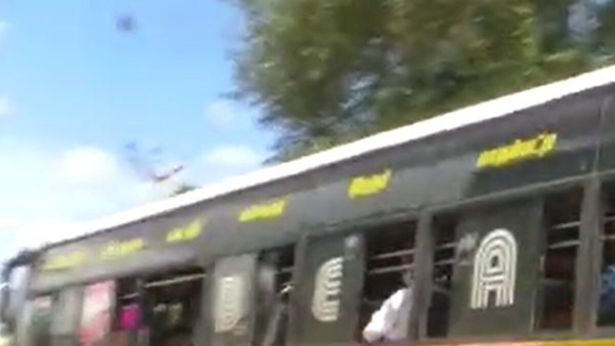 WATCH: Foal Mistakes Image on Moving Bus For A Real Horse, Rushes ...