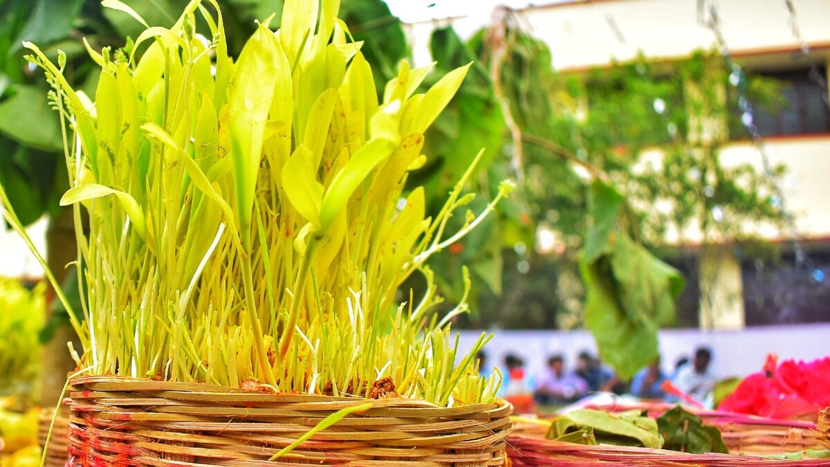 Karma Puja 2022: Date, Rituals, Significance and Wishes - News18