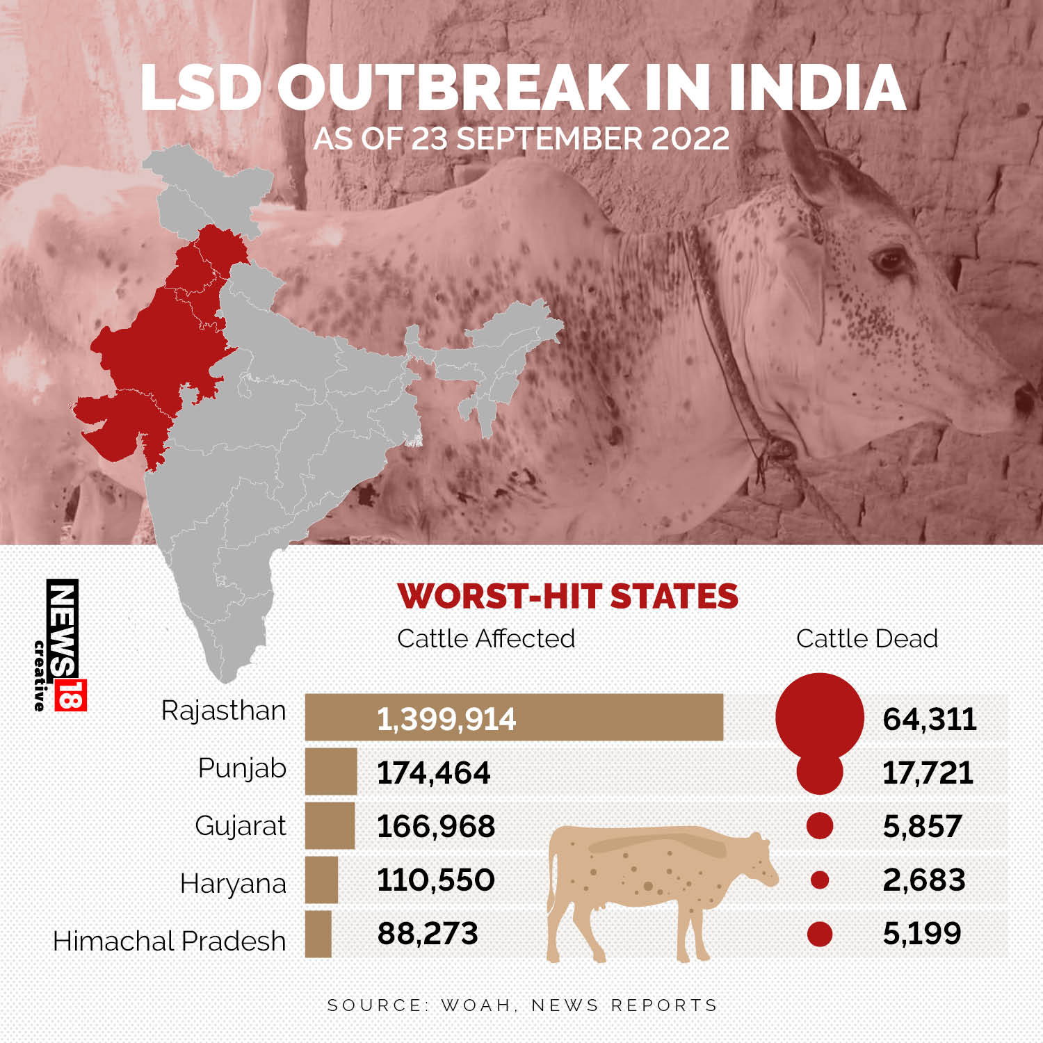 What Is Lumpy Skin Disease That Affected Over 20 Lakh Cattle In India ...