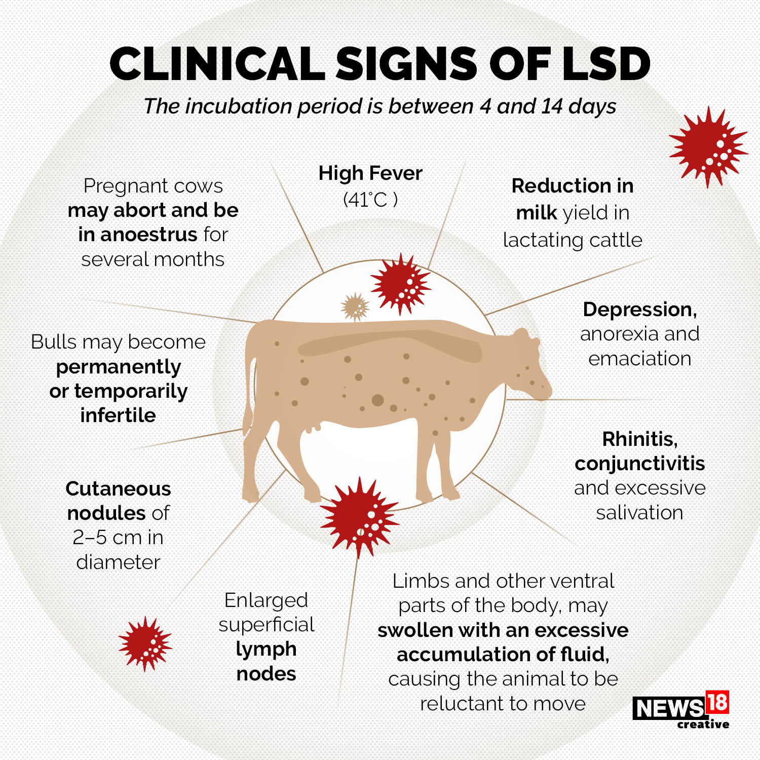 What Is Lumpy Skin Disease That Affected Over 20 Lakh Cattle In India ...