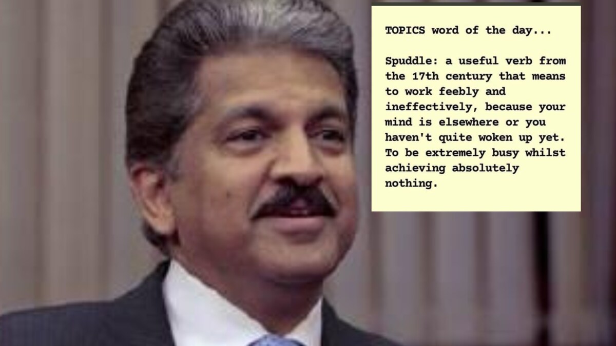 'Spuddle': Anand Mahindra's Tweet on Word of The Day is So Relatable ...