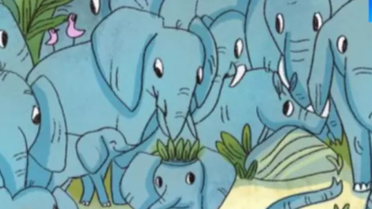 Optical Illusion: There's a Rhino in This Image of Elephants. Can You ...