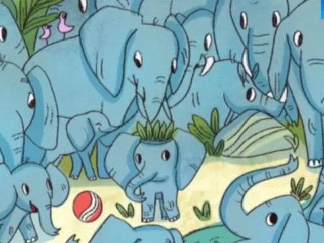 Optical Illusion: There's a Rhino in This Image of Elephants. Can You ...